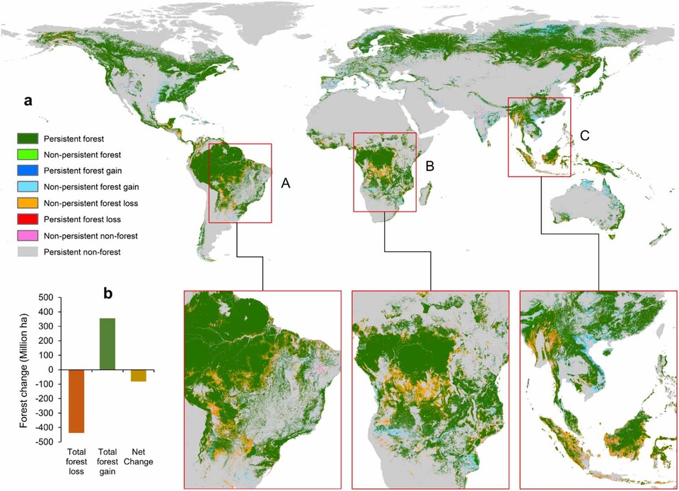 지구에서 숲이 사라지고 있다